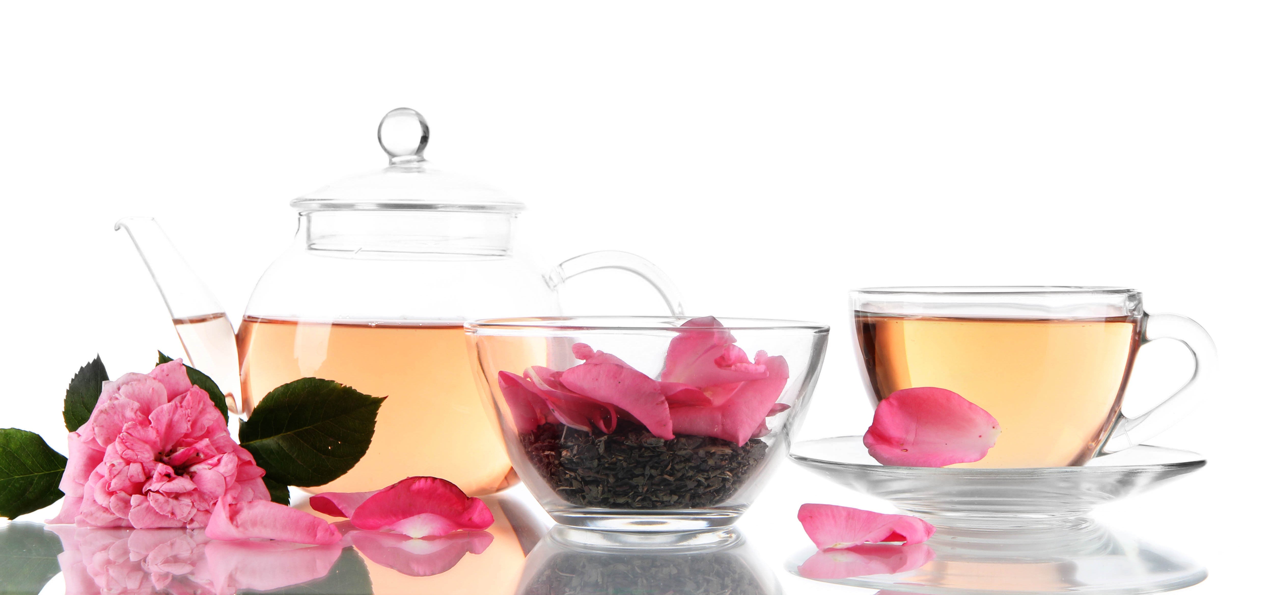 How to Make the Perfect Cup of Himalayan Rhododendron Tea? – Green Life ...